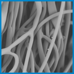 Porex - Company Profile | Supplier Information